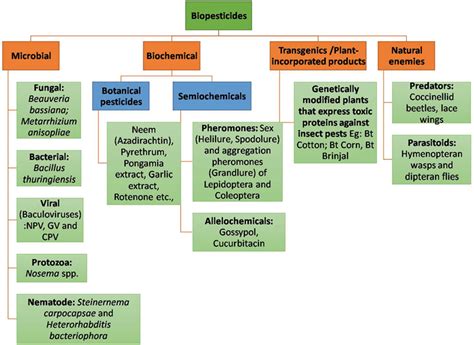 1 Classification Of Biopesticides Download Scientific Diagram