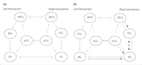 A Cognitive Model Of Working Memory Used For Dynamic Causal Modeling Download Scientific