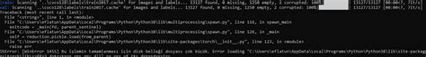 OSError WinError Issue Ultralytics Yolov GitHub