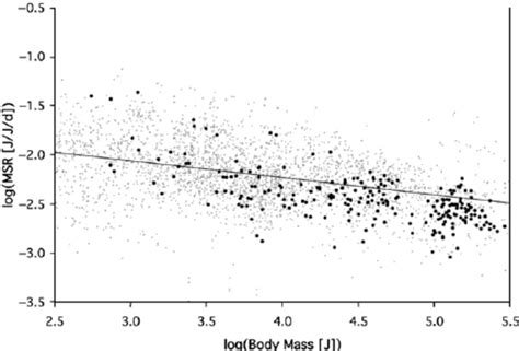 Temperature Adjusted 10 ° C Mass Specific Respiration Rate Msr