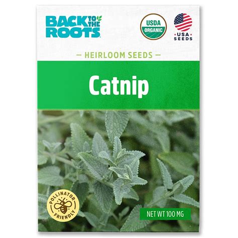 Organic Mint Seeds — Catnip Back To The Roots