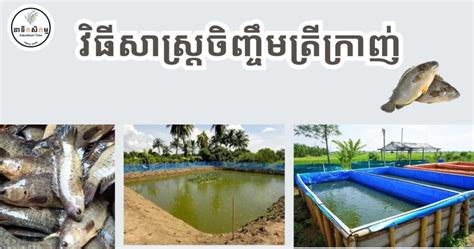 កសិកម្ម នាទីកសិកម្ម Kaksekam Time