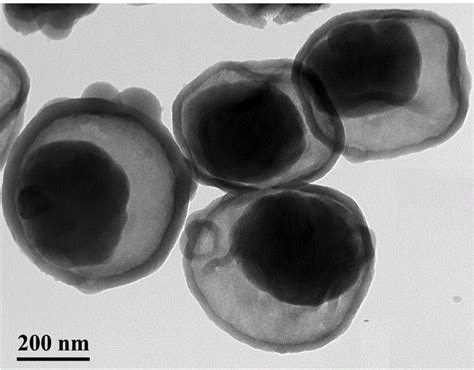 Core Shell Type Micropore Mesoporous Composite Titanium Silicon Molecular Sieve And Preparation