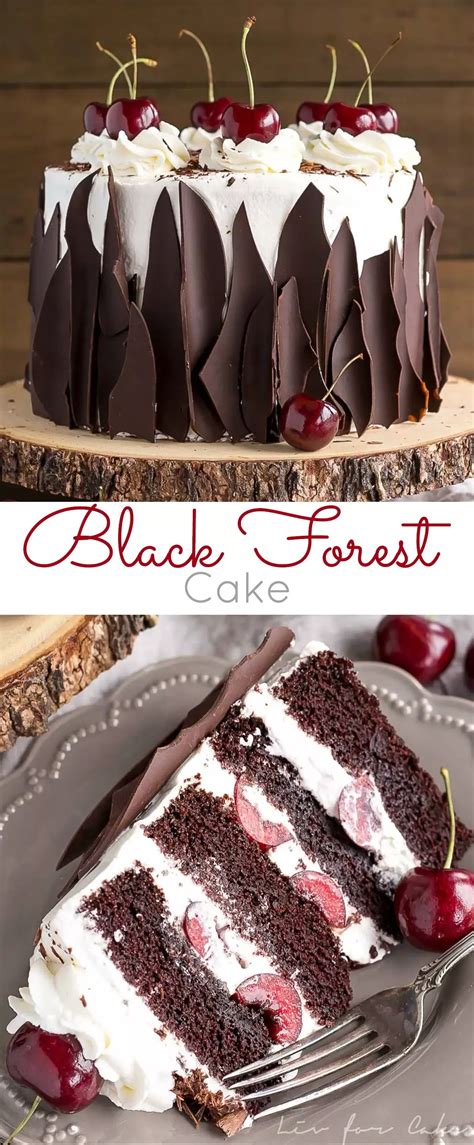 Black Forest Cake Photo Collage Forest Cake Black Forest Cake