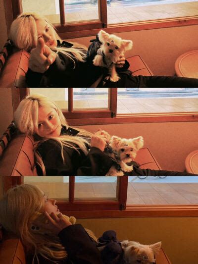 张昕 高清图片，堆糖，美图壁纸兴趣社区