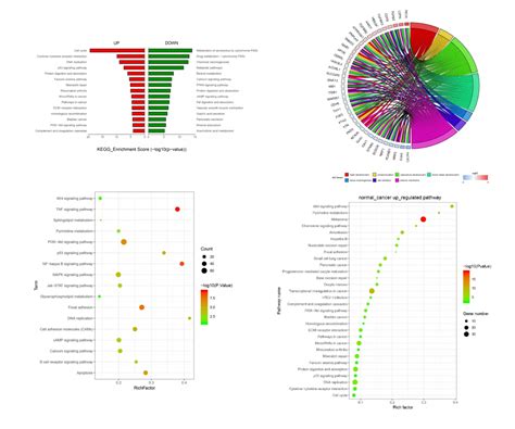 Rnaseq，我们可以提供哪些图表分析 1基因
