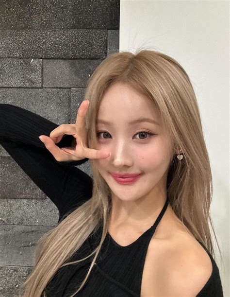 연예거중기 유전자 그대로 물려 받은 연예인 2세들 Daum 카페