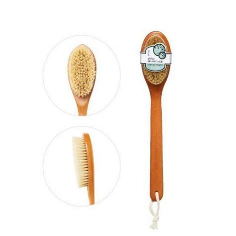 Filimilli 仙人掌身體刷（強力） 蝦皮購物