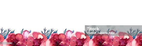 양귀비 말미잘 빨간색과 분홍색 꽃과 나뭇잎 웹 배너 템플릿입니다 수채화 손으로 그린 그림입니다 0명에 대한 스톡 벡터 아트 및