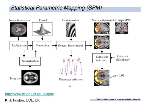 Ppt Biomedical Imaging 2 Powerpoint Presentation Free Download Id1815233