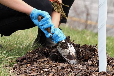 Soil Lead — Cumberland County Soil And Water Conservation District