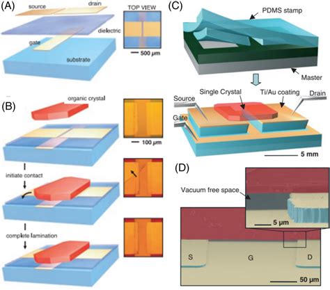 A The Schematic View Of A Transistor Stamp With Gate Dielectric And
