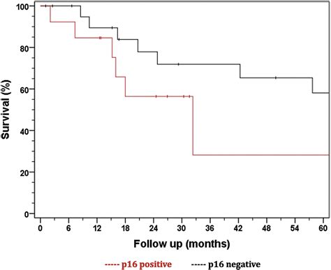 Pd L1 And P16 Expression In Penile Squamous Cell Carcinoma From An