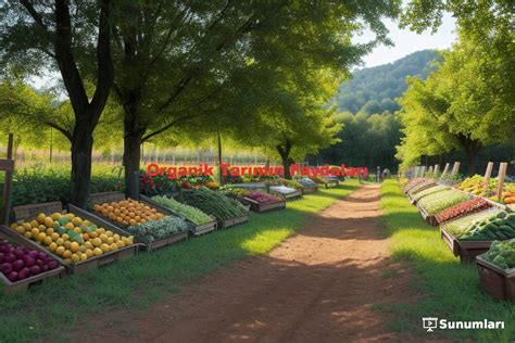 Organik Tarım Sunumları Sunumları