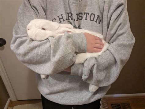 Brinlee Loves A Big Hug 💕 R Rabbits