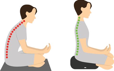 Posture Pillow For Sitting At Jeffrey Abdallah Blog