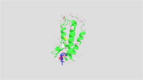 Artificial Cyclic Peptide 3 1c 3d Model By Cynthia76973 [a6b3d6a] Sketchfab