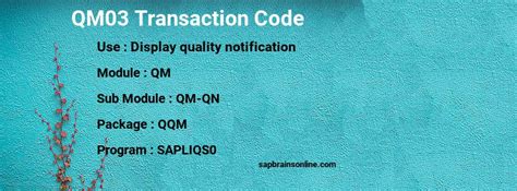 QM SAP Tcode For Display Quality Notification