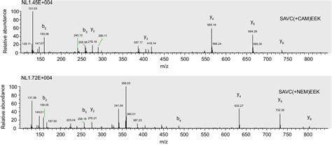 Figures And Data In Reactive Oxygen Species Oxidize Sting And Suppress