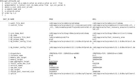 How To Check Which Parameter File Oracle Is Using Reagan Well Rollins