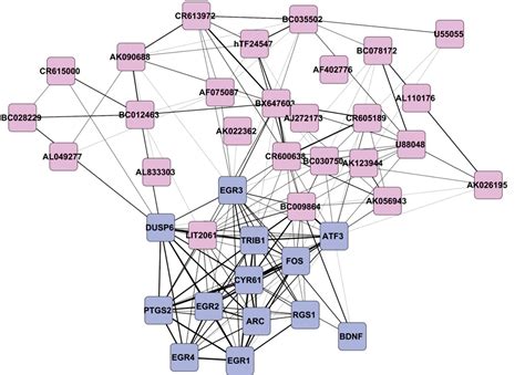 figure 4 from activity dependent human brain coding noncoding gene