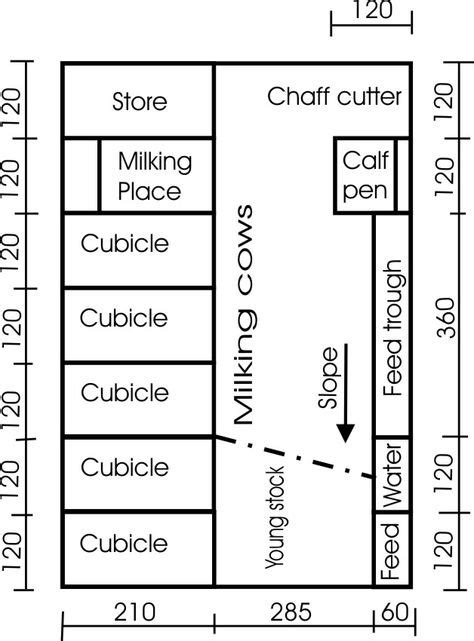 Zero Grazing Cow Shed Design ~ Gota Go