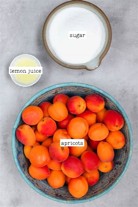 Easy Apricot Jam Recipe No Pectin Required Alphafoodie