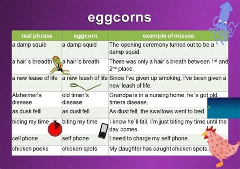 Eggcorns The Best Eggcorn Examples Mingle Ish