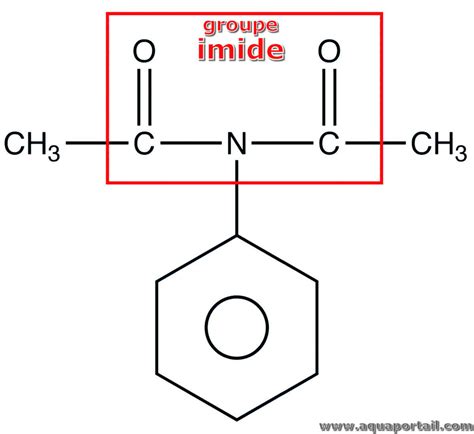 Imide Définition Et Explications