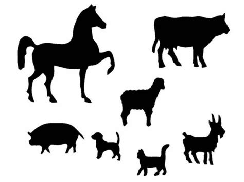 Тени животных картинки для детей