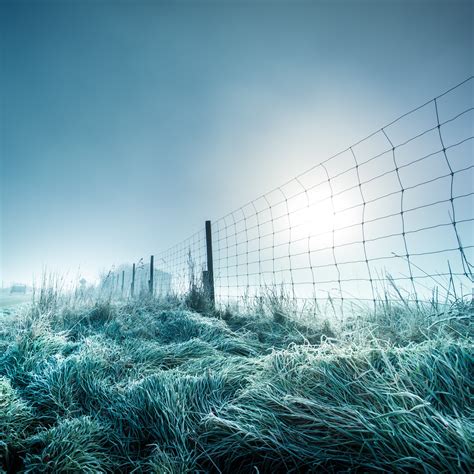 Grass Grid Wallpaper 1920x1920