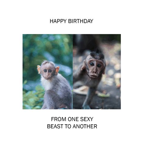 Happy Birthday Meme Sexy