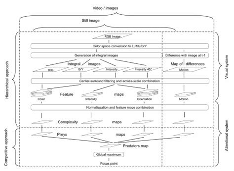 Architecture Of The Computational Model Of Attention Download