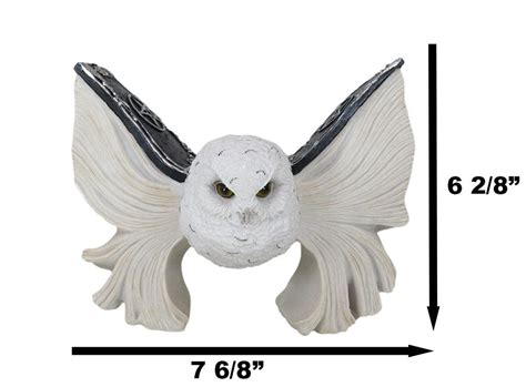 Arctic Magic White Snow Owl Flapping Its Pentagram Spellbook Wings Fig