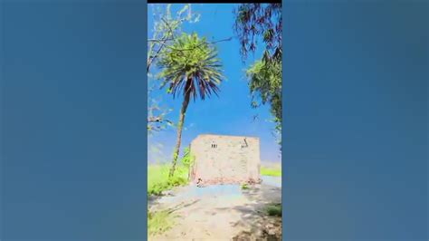 پنڈو منڈا Youtube