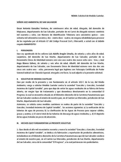 Modelo De Solicitud De Medidas Cautelares Pdf Mandato Aguas