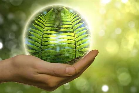 Biodegradable Packaging A Smart Choice For Eco Conscious Consumers