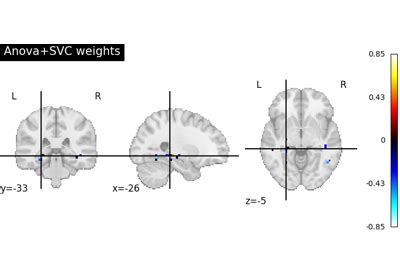 Nilearn Plotting Plot Stat Map Nilearn