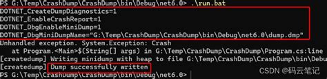 在net程序崩溃时自动创建dump的思路详解c Dump文件怎么生成 Csdn博客