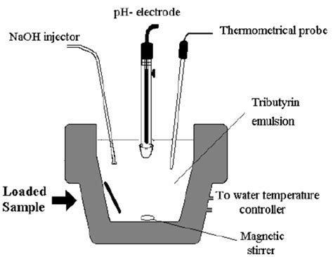 1 Scheme Of The Biosensor Activity Measurement Setup Download Scientific Diagram