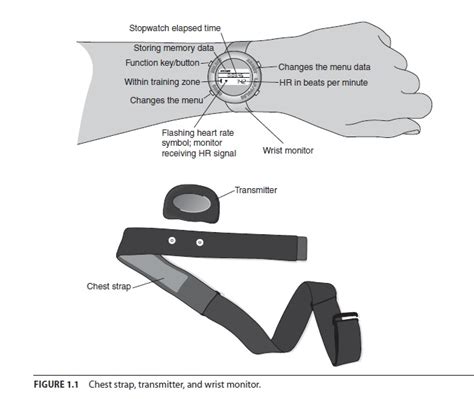 Monitoring Heart Rate Cardio Fitness Education Lifestyle