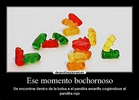 Top Memes De Panditas En Español Memedroid