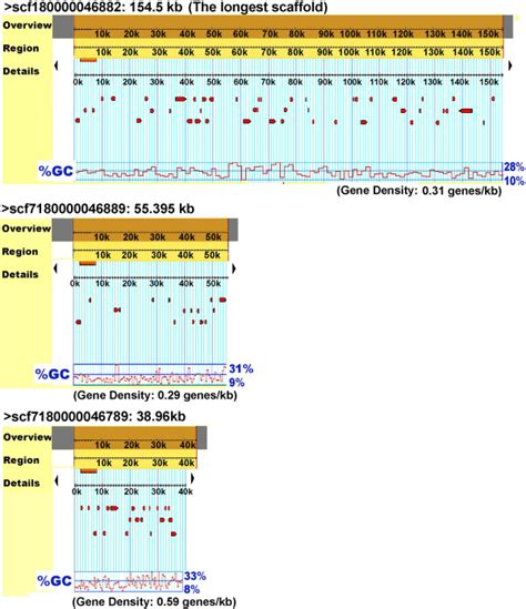 Maximum Likelihood Codon Bias Mcb Analysis The Gc Content At The