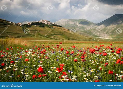 Mountain Village Above Valley Flowers Stock Image Image Of View