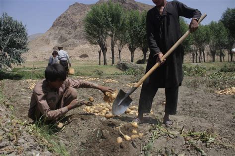 Into The Heart Of Afghanistan Interview With Sharif Shayeq The Game