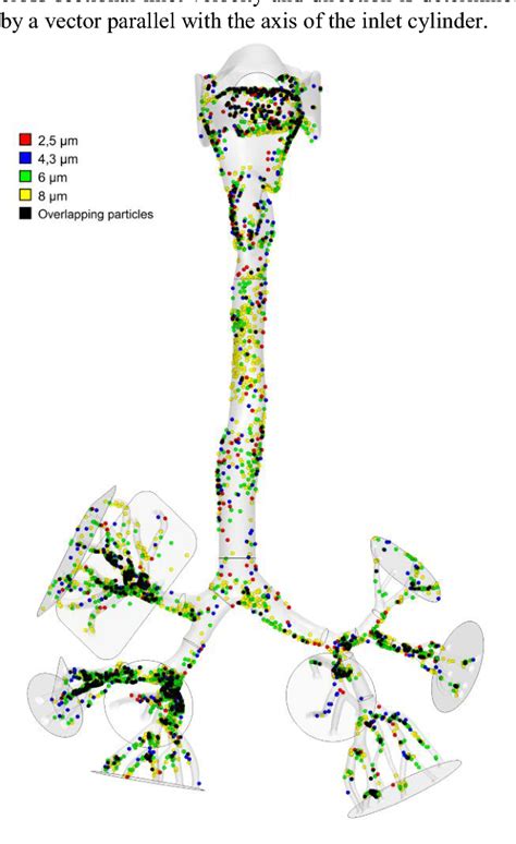Figure 1 From Prediction Of Localized Aerosol Deposition In A Realistic