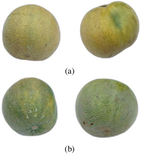 Figure 1 From A Deep Learning Based Model For Classifying Sweetness