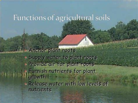 PPT The Dirt On Soil An Introduction To Soil Chemistry PowerPoint Presentation ID