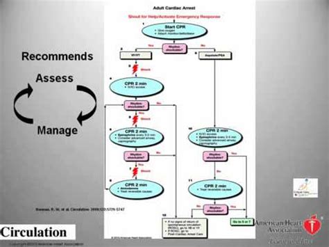 ACLS 2010 American Hearth Association AHA Puskesmas Lakessi