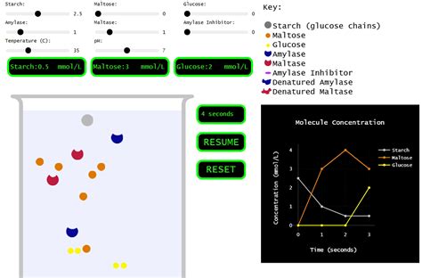 Enzyme Simulation